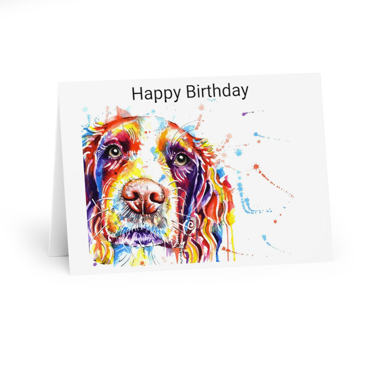 Shop Spaniel Birthday Cards - Colourful and Fun Designs.